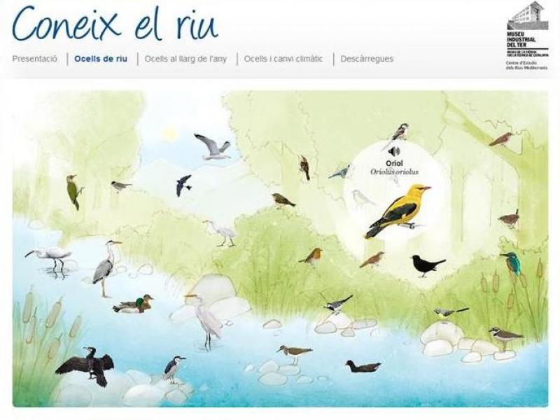 El Museu del Ter i els cants dels ocells – Gaudir la Cultura